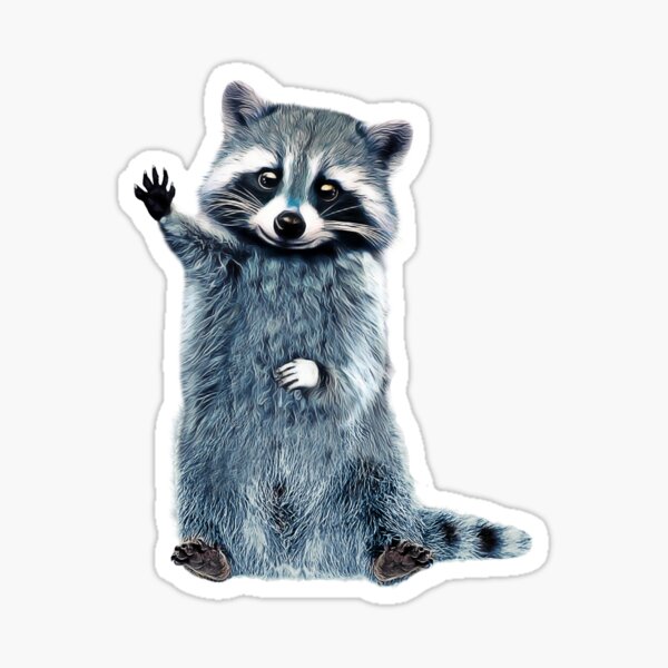 Raccoon Stickers | Redbubble