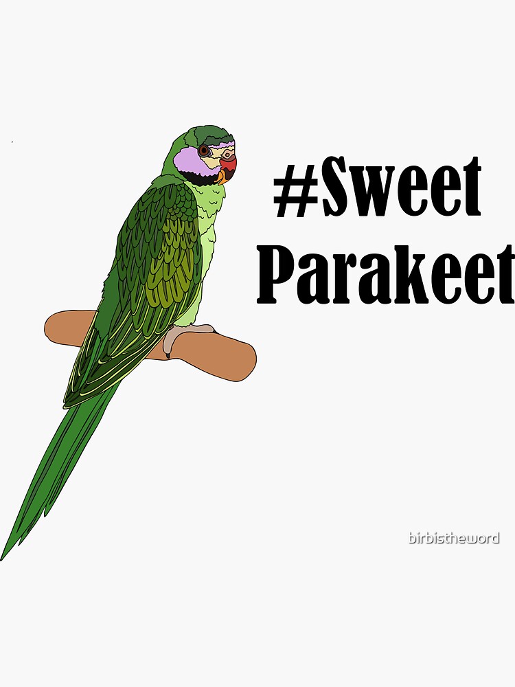 "#Sweet Parakeet" Sticker for Sale by birbistheword | Redbubble