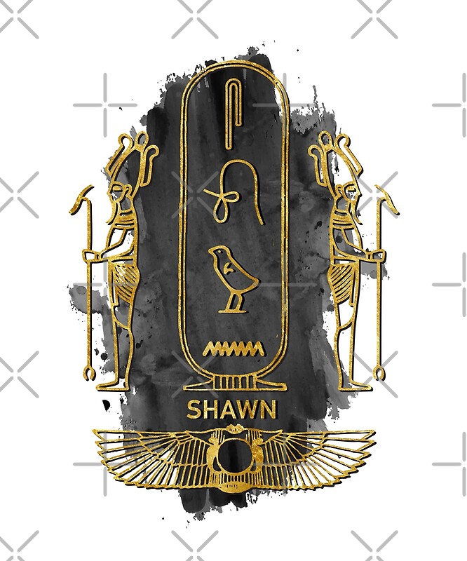 "Shawn your name in old Egyptian hieroglyphics symbols" by elmanchour ...