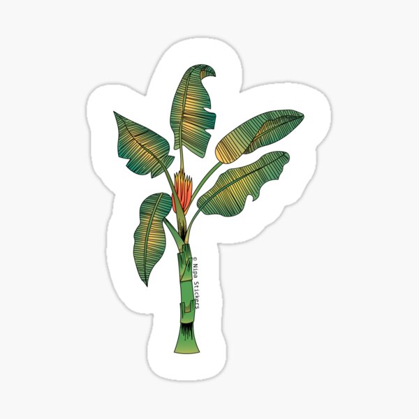 "Banana Tree" Sticker by alicehilton | Redbubble