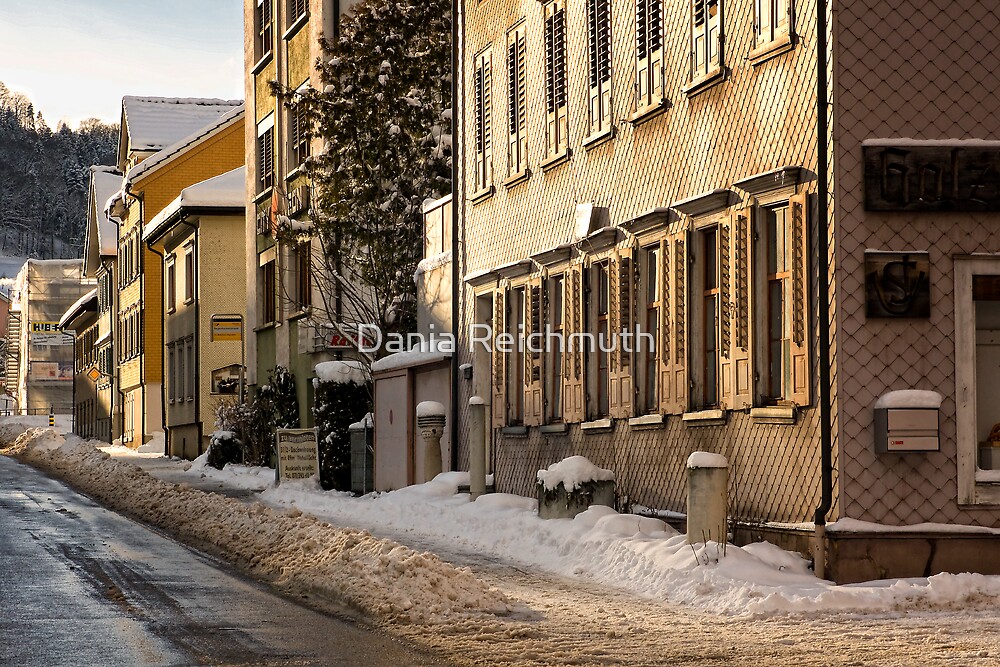 "Flawil, Switzerland" by Dania Reichmuth | Redbubble