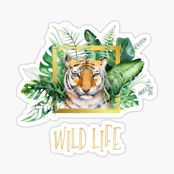"Wild Tiger Art" Sticker by Amanda-Lakey | Redbubble