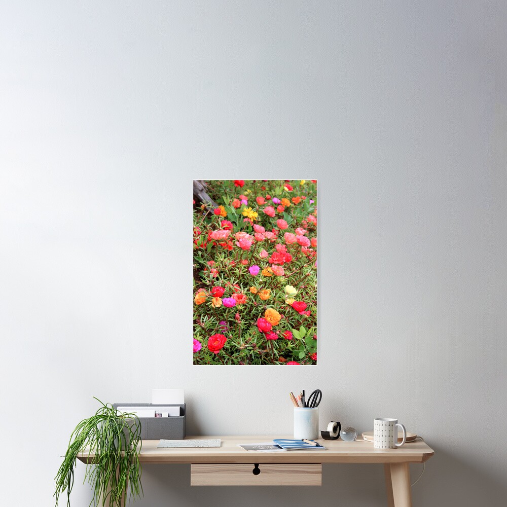 "Glorious summer/Somer in blom" Greeting Card for Sale by Antionette ...