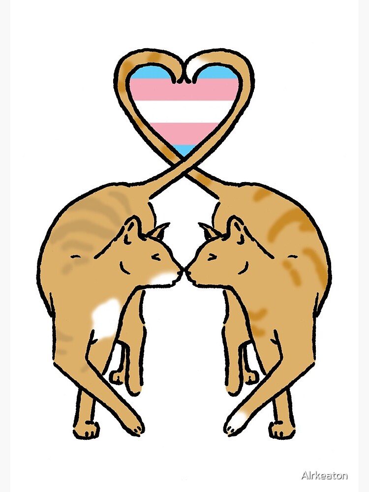 "Trans Pride Cats" Spiral Notebook for Sale by Alrkeaton | Redbubble