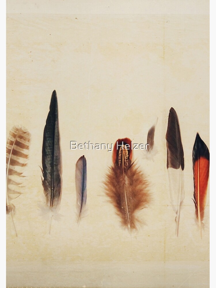 "Feather Study no. 1" Spiral Notebook by riotjane | Redbubble