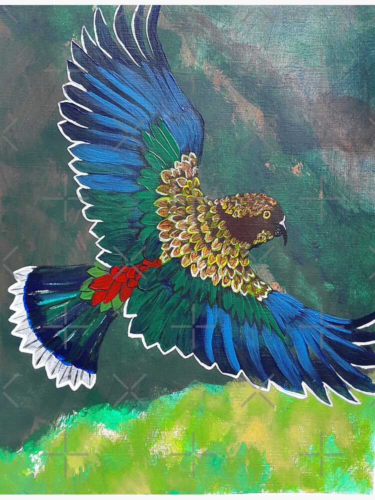 "Kea in Flight" Sticker for Sale by AlwaysArting | Redbubble