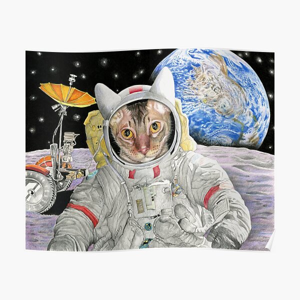 Póster «Buzz Cat Moon Landing» de WendyBerry | Redbubble