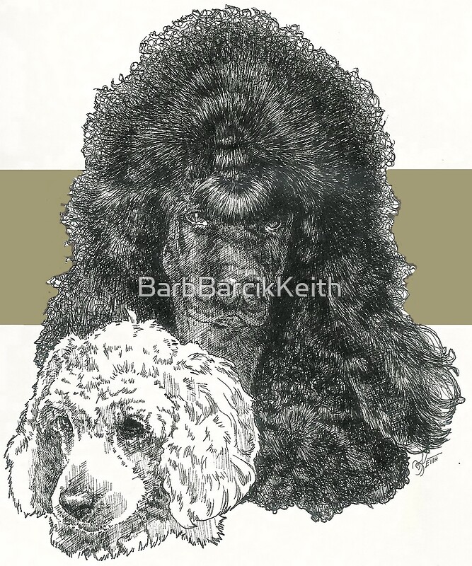 "Poodle (standard) Father & Son" by BarbBarcikKeith | Redbubble