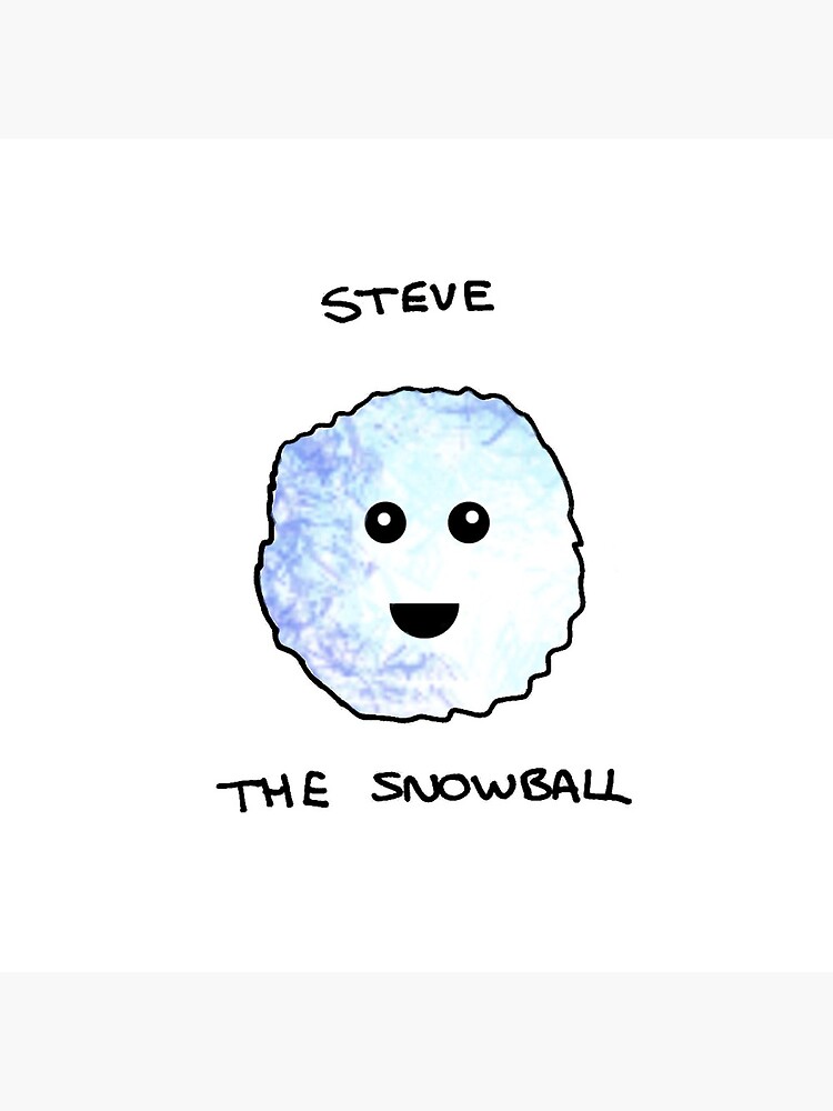 "Steve The Snowball" Metal Print for Sale by christinaashman | Redbubble
