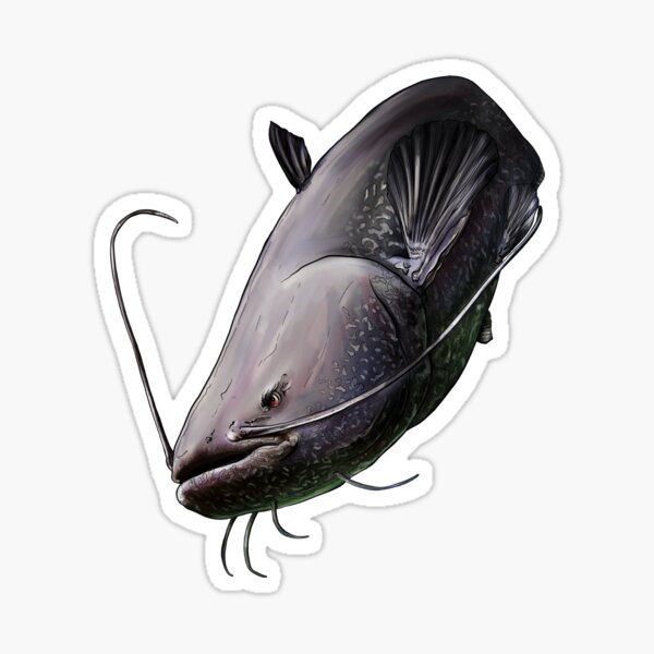 "Catfish 4" Sticker for Sale by slashgrafik | Redbubble