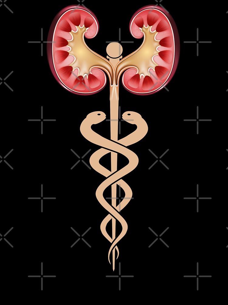 "Nephrology Renal Dialysis design Gift Kidneys with Caduceus design ...