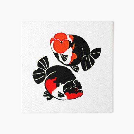 "Ranchu Tri Color" Art Board Print by Nosnah | Redbubble