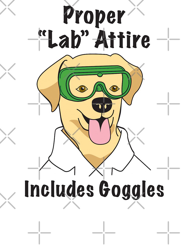 Lab Attire Funny at Eden Goldfinch blog