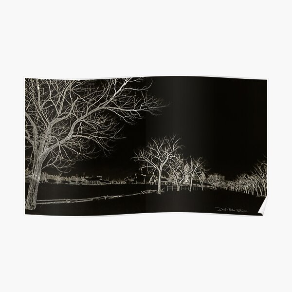 "Dreams About Trees - Infrared" Poster for Sale by davidbstudios ...