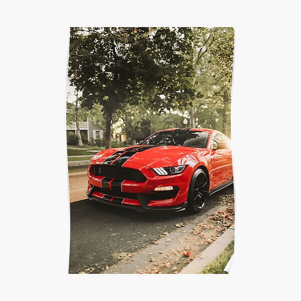 "Shelby GT350" Poster for Sale by saltcitycars | Redbubble