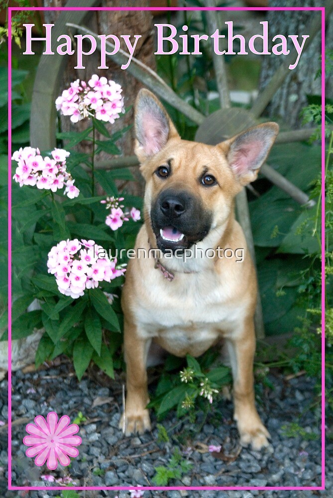 "Happy Birthday - dog with pink flowers" by laurenmacphotog | Redbubble