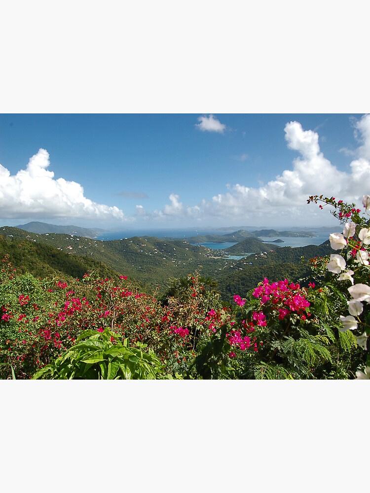 "Coral Bay - St. John - USVI" Sticker by CHBB | Redbubble