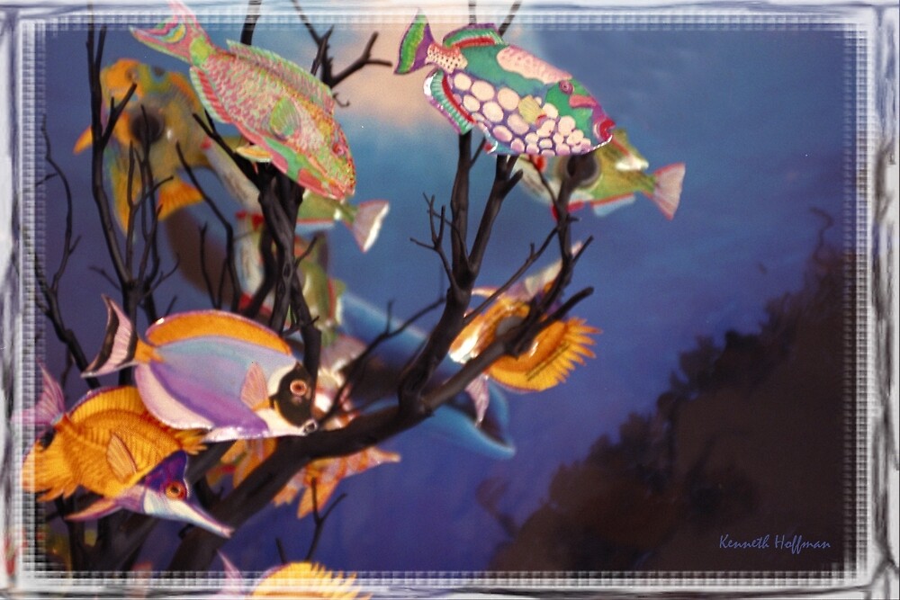 "Fish Fantasy" by Kenneth Hoffman | Redbubble