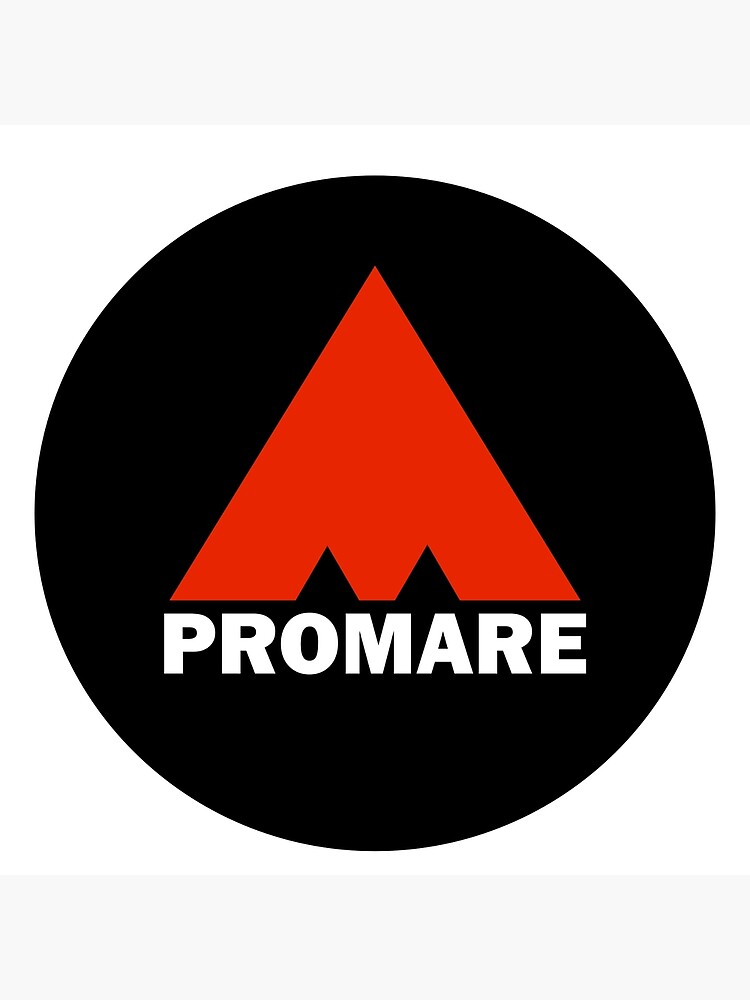 "PROMARE LOGO ~ RED" Art Print by rainforests | Redbubble