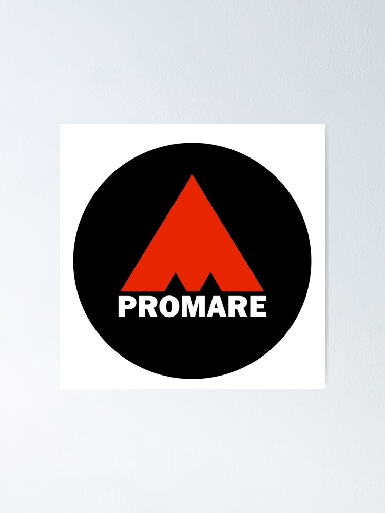 "PROMARE LOGO ~ RED" Poster by rainforests | Redbubble