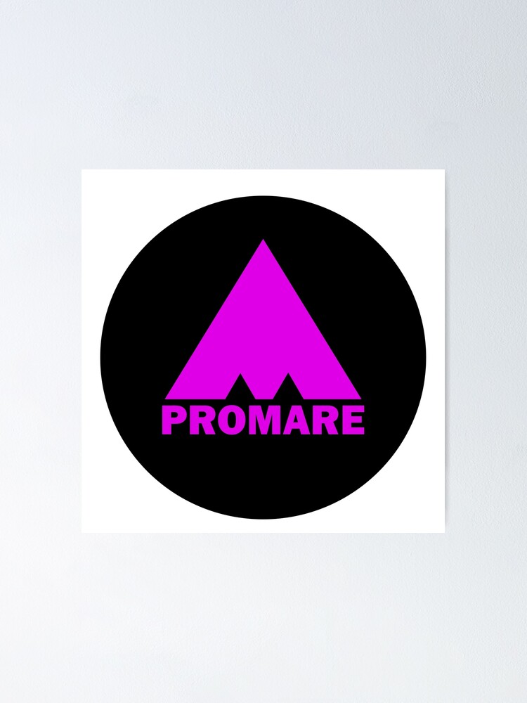 "PROMARE LOGO ~ PINK" Poster by rainforests | Redbubble