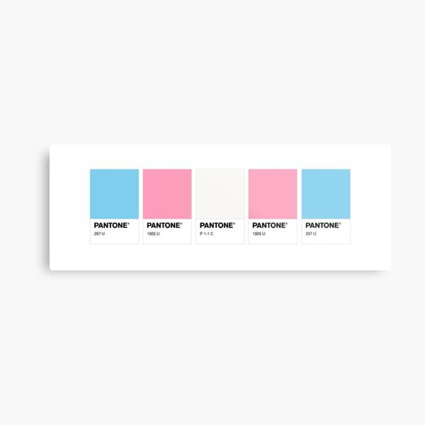 "trans pantone pride" Metal Print for Sale by sunfowers | Redbubble