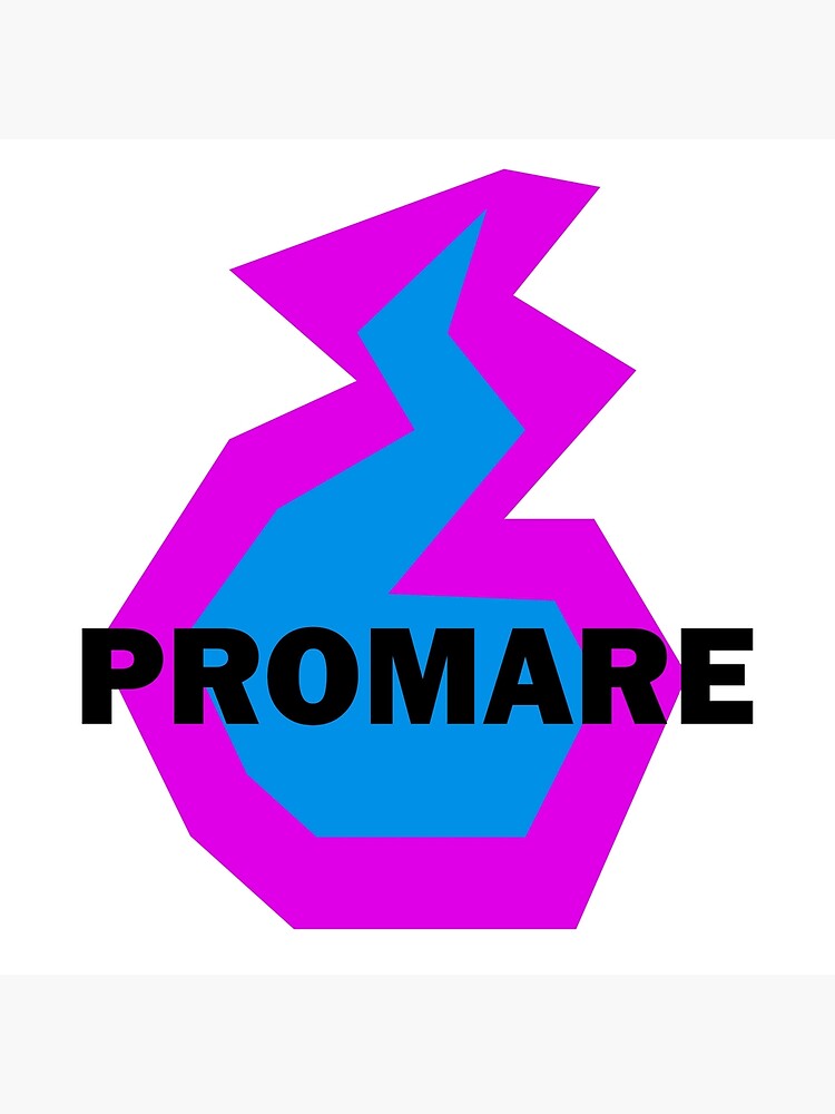 "PROMARE ~ FLAME LOGO" Poster for Sale by rainforests | Redbubble