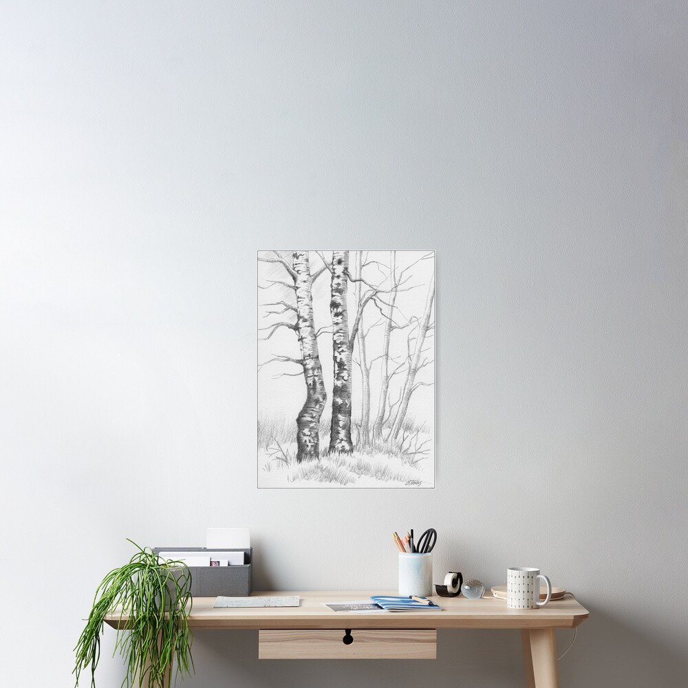 "BIRCH TREE 01" Poster for Sale by RainbowArt | Redbubble