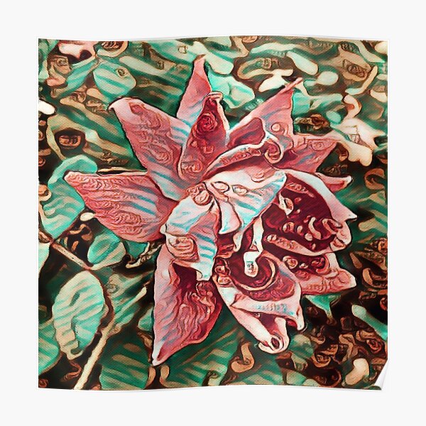 "Droopy rose" Poster by JennaSaisQuoi83 | Redbubble