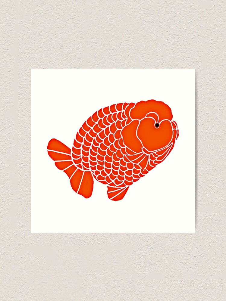 "Full Red Ranchu Goldfish Logo in White background" Art Print for Sale ...