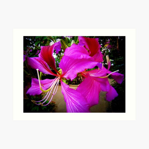 Stimulation Art Prints | Redbubble