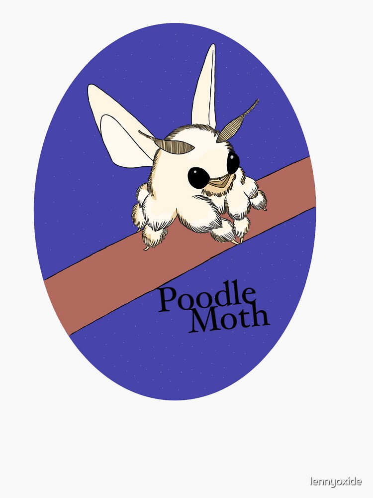 "Poodle Moth" Sticker by lennyoxide | Redbubble