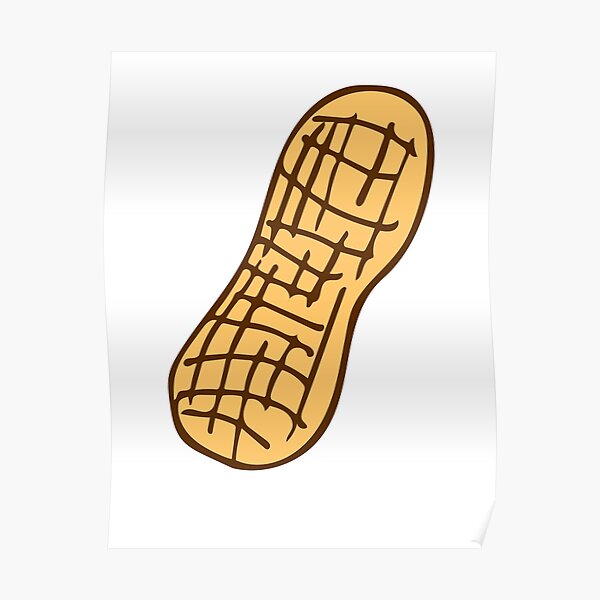 Póster «Regalo de ilustración de maní concha de maní» de quali-shirts ...