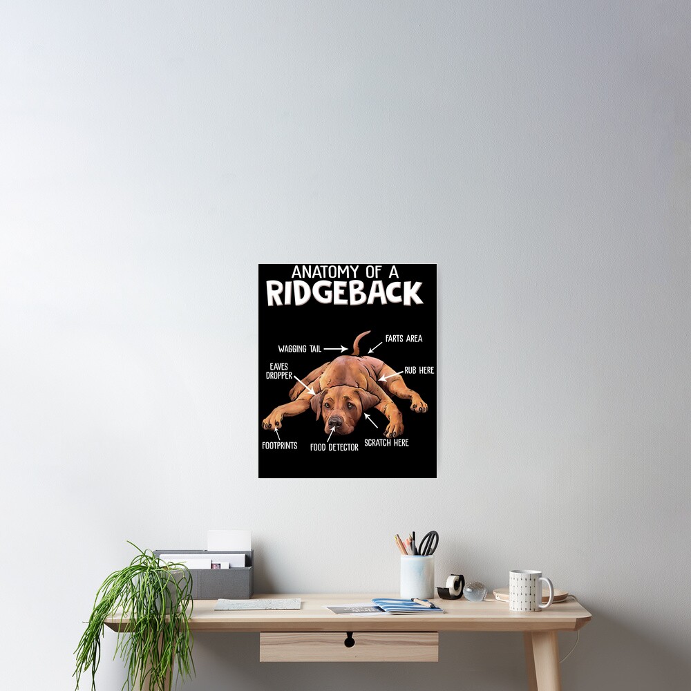 Poster « Chien Rhodesian Ridgeback », par Sven19864 | Redbubble