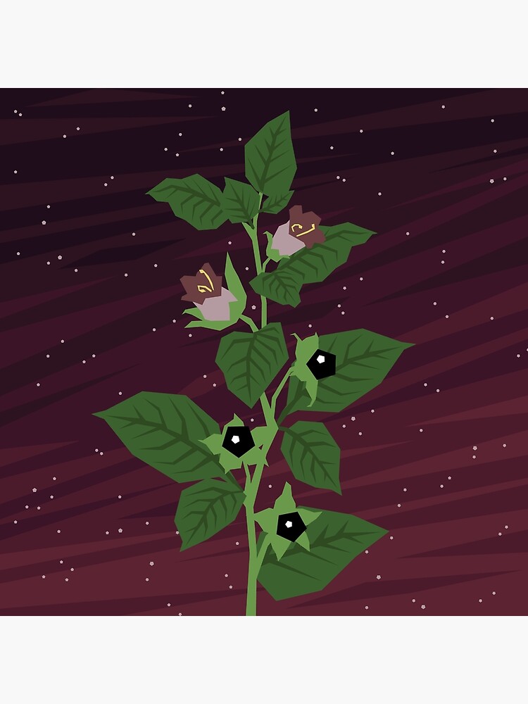 "Deadly Nightshade" Poster for Sale by jbott | Redbubble