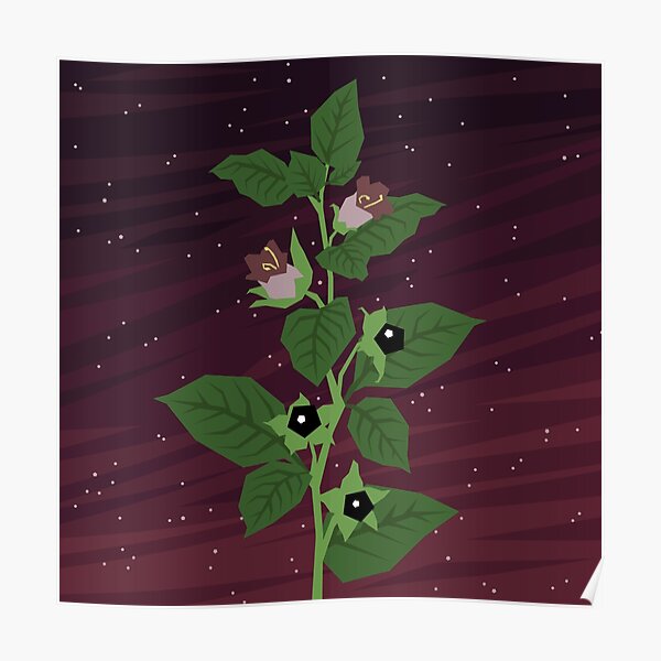 "Deadly Nightshade" Poster for Sale by jbott | Redbubble