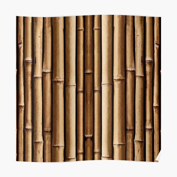 "Bamboo (tan)" Poster for Sale by jellyrelish | Redbubble