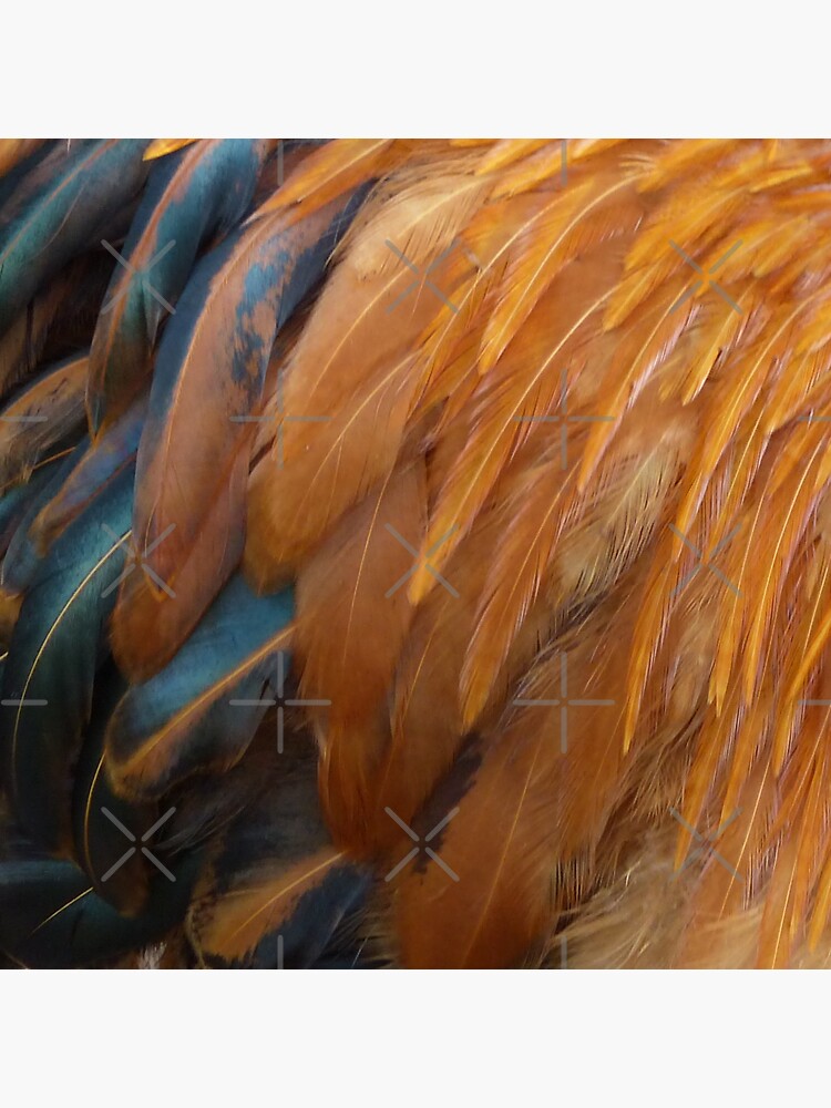 "Pekin Bantam Roo Feathers " Sticker for Sale by StardustMyHeart ...