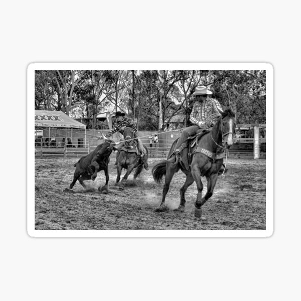 "CATTLE ROPING, TEAM ROPING" Sticker by Tinpants | Redbubble
