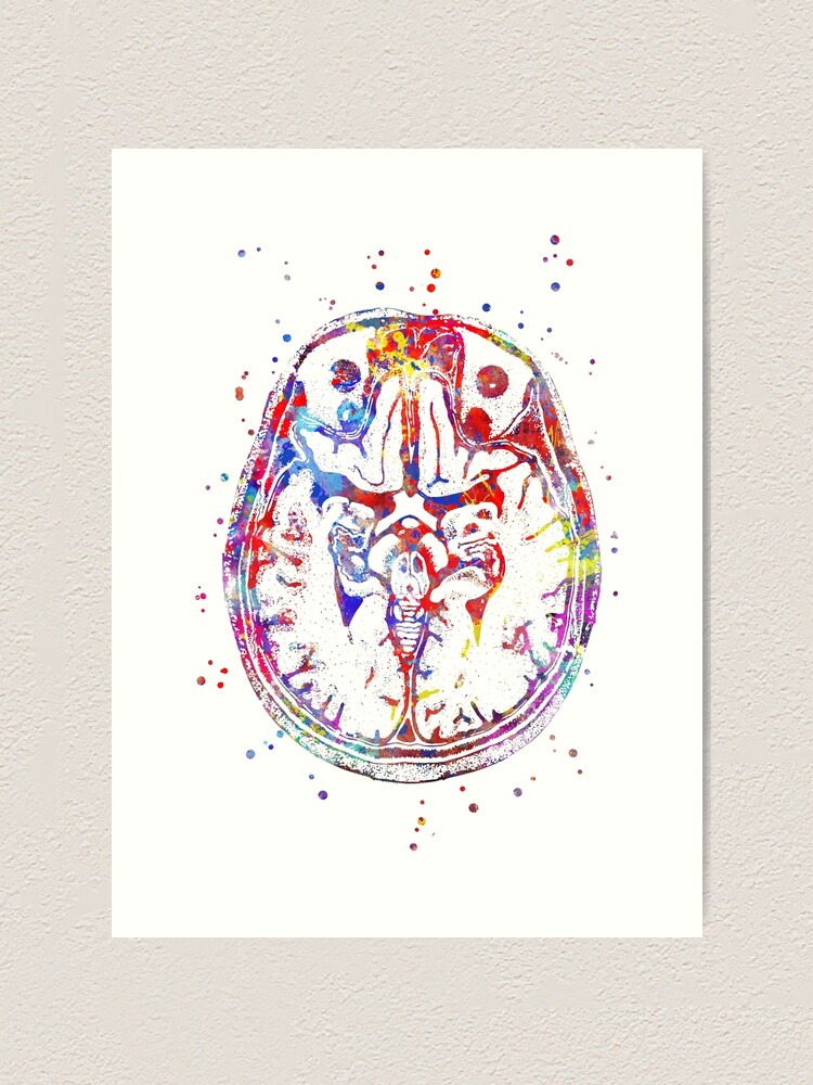 "Cross section of human neck, human neck watercolor, human neck print ...