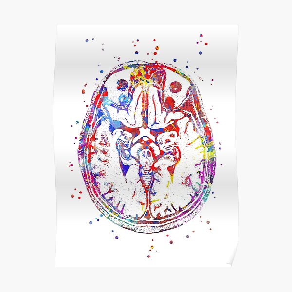 "Cross section of human neck, human neck watercolor, human neck print ...