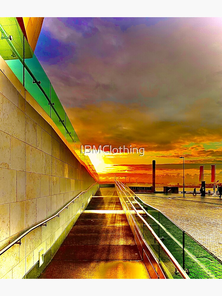 "Settle & Shine" Sticker for Sale by IBMClothing | Redbubble