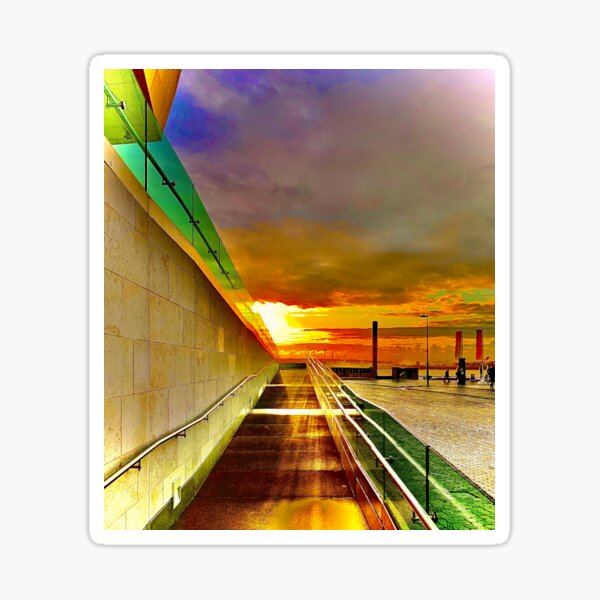 "Settle & Shine" Sticker for Sale by IBMClothing | Redbubble