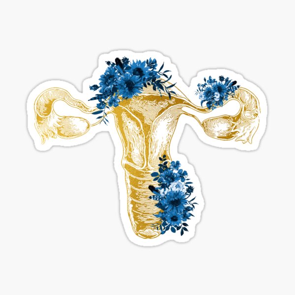 "Female Reproductive System" Sticker by erzebetth | Redbubble