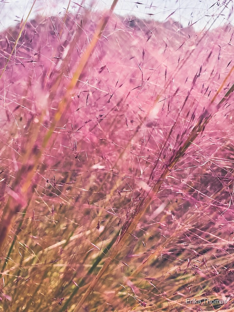 "Pink Muhly Grass" Poster by erikathomas998 | Redbubble