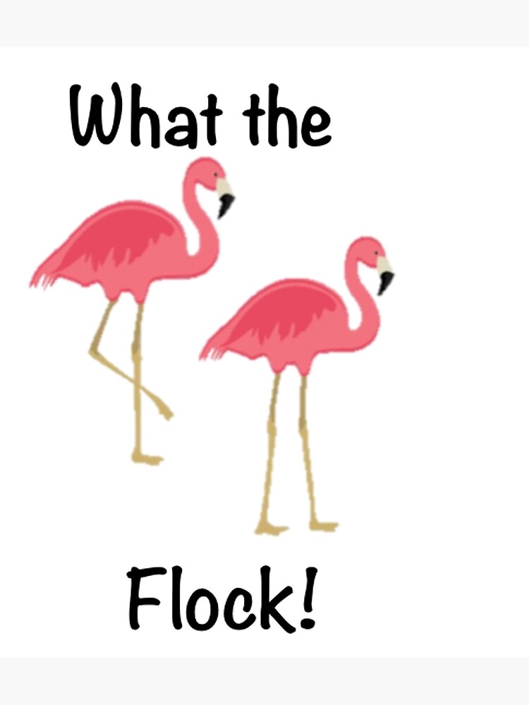 "What the Flock" Poster by mattjmca | Redbubble