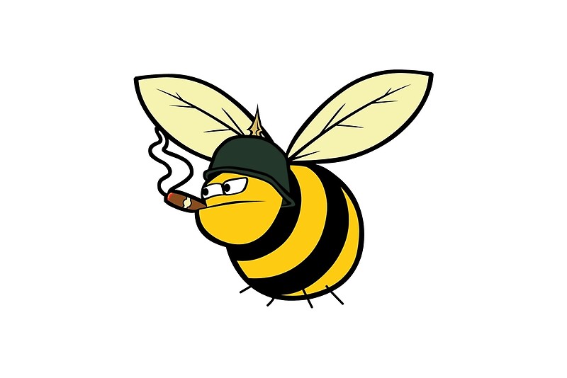 "Goonswarm Federation" by DaveInSpace | Redbubble