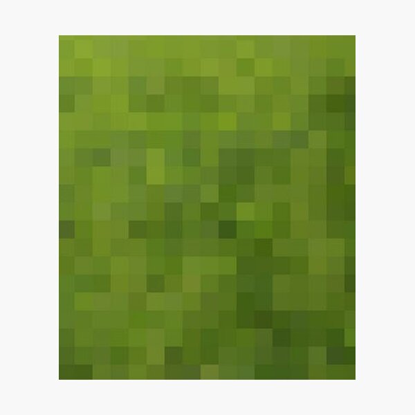 Grass Texture Minecraft