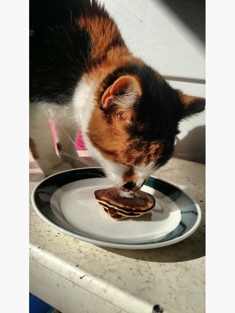 "Cat and pancakes/Happy birthday" Sticker for Sale by WizeGuy | Redbubble