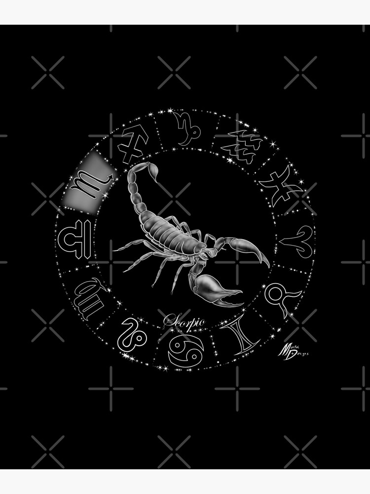 Zodiac scorpio scorpion 60 photos - Youhoroscope.com